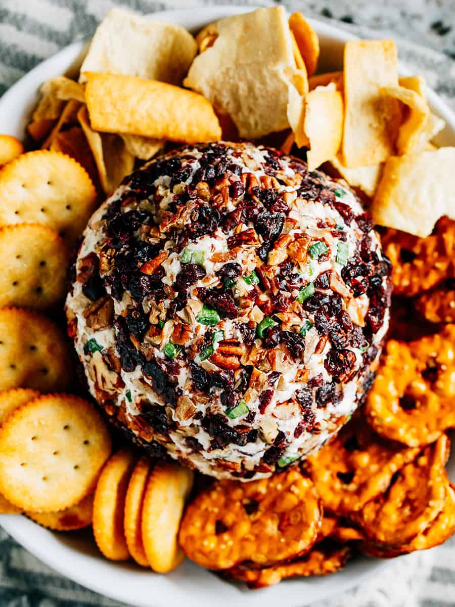Cranberry Pecan Cheese Ball - The Recipe Life
